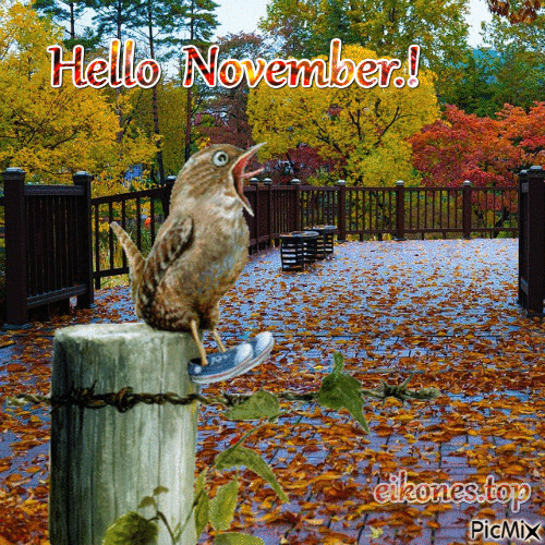 Hello November! Pictures, Photos, and Images for Facebook, Tumblr ...