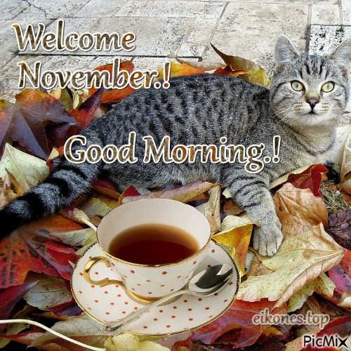 Welcome November Good Morning Pictures, Photos, and Images for Facebook ...