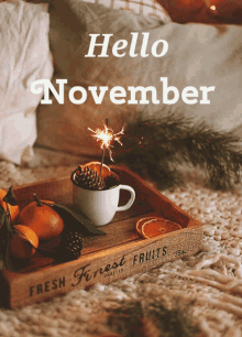 Hello November Sparkler Gif Pictures, Photos, and Images for Facebook ...