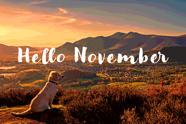 Hello November Slideshow Gif Pictures, Photos, and Images for Facebook ...