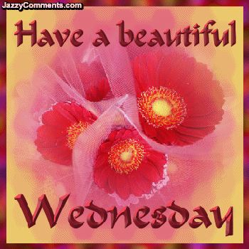 Red Daisy - Beautiful Wednesday Gif Pictures, Photos, and Images for ...