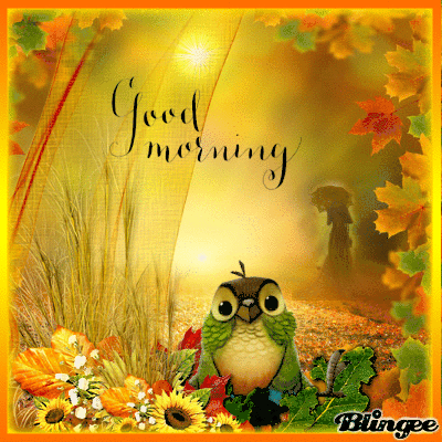 Autumn Morning Owl Pictures, Photos, and Images for Facebook, Tumblr ...