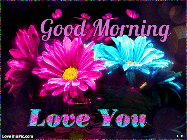 Good Morning Love You Gif Pictures, Photos, and Images for Facebook ...