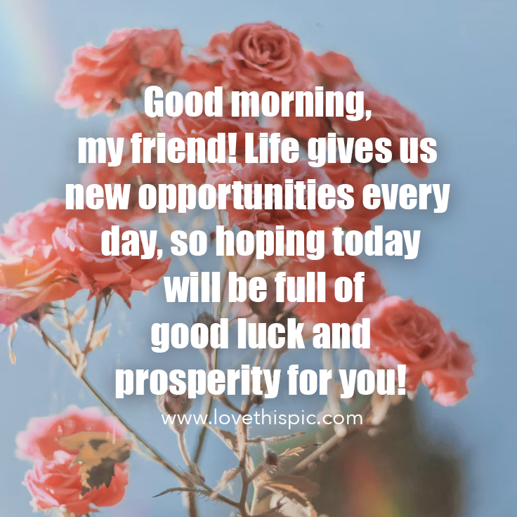 Good Morning, My Friend! Life Gives Us New Opportunities Every Day, So ...