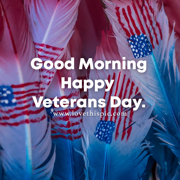 Patriotic Feathers - Good Morning Happy Veterans Day Pictures, Photos ...