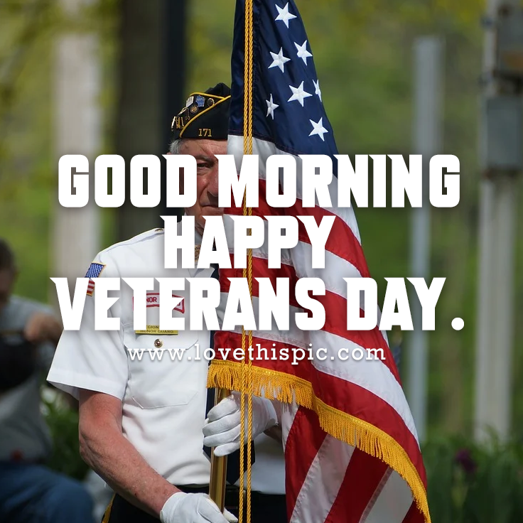 Old Veteran Holding Flag - Good Morning, Happy Veterans Day Pictures ...