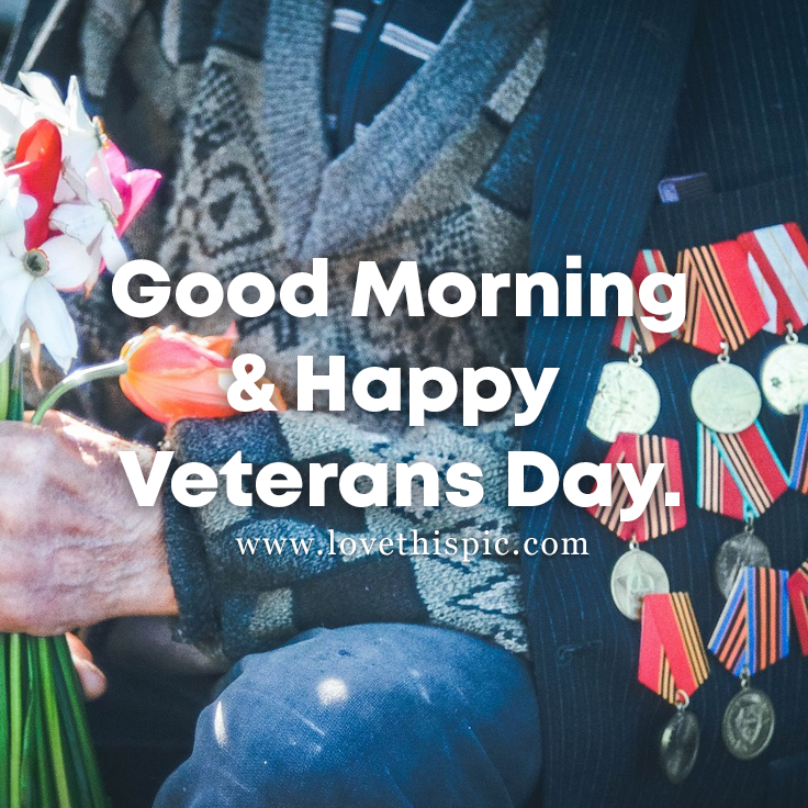Veteran Holding Flowers - Good Morning & Happy Veterans Day Pictures ...