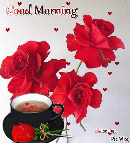 Good Morning Red Flower Images | Best Flower Site