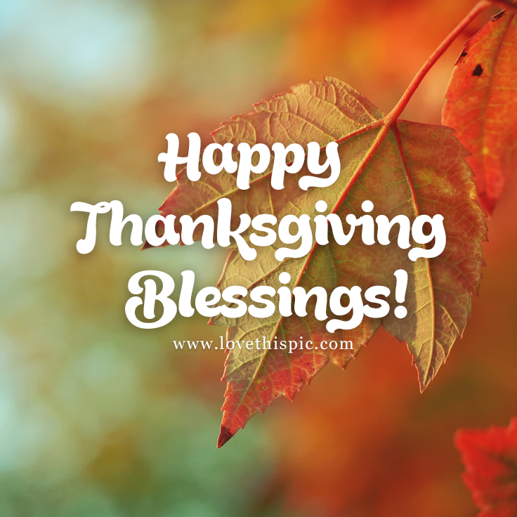 Bokeh Leaves - Happy Thanksgiving Blessings! Pictures, Photos, and ...