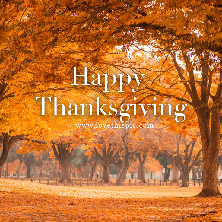 Orange Trees - Happy Thanksgiving Pictures, Photos, and Images for ...