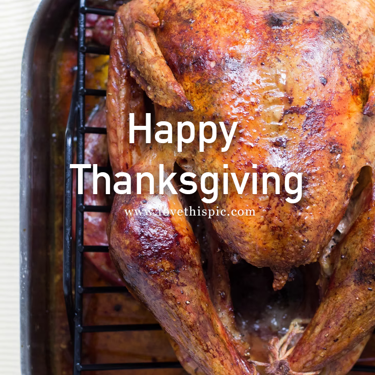 Roasted Turkey - Happy Thanksgiving Pictures, Photos, and Images for ...