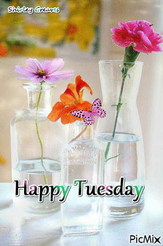 Flowers In Vases - Happy Tuesday Pictures, Photos, and Images for ...