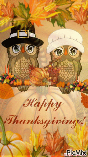 Pilgrim Owl Couple - Happy Thanksgiving Pictures, Photos, and Images ...