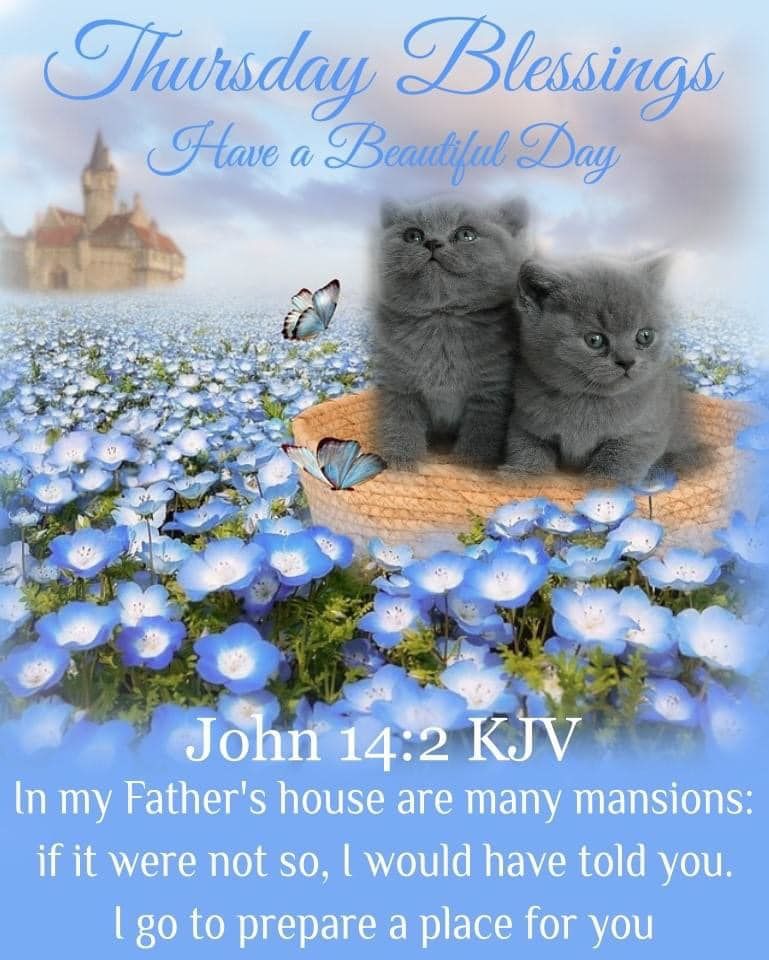 Thursday Blessings Scripture Pictures, Photos, and Images for Facebook ...