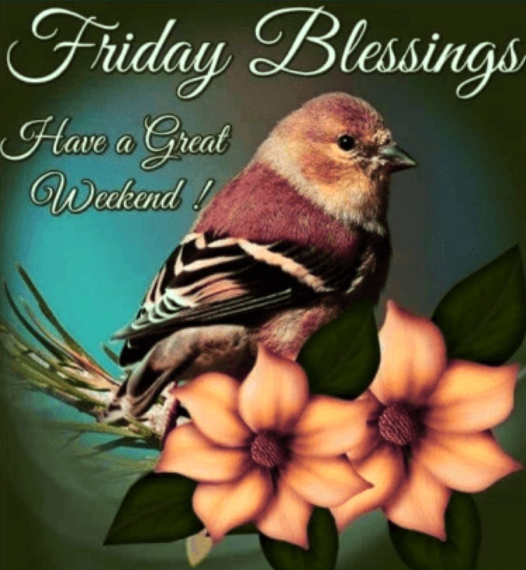 Friday Blessing: Have A Great Weekend Pictures, Photos, and Images for ...