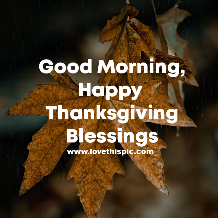 Good Morning, Happy Thanksgiving Blessings Pictures, Photos, and Images ...