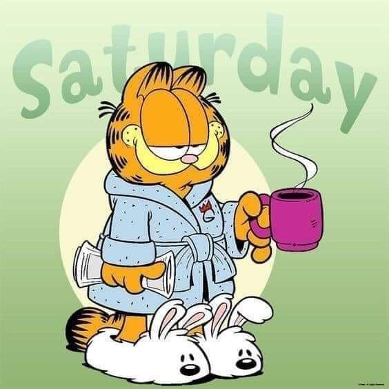 Garfield Saturday Quote Pictures, Photos, and Images for Facebook ...