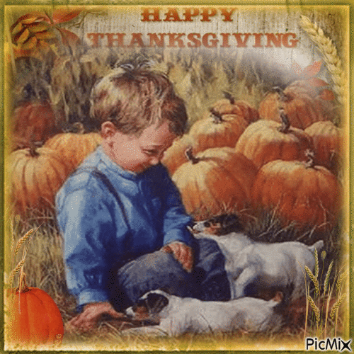 Boy Playing With Dogs - Happy Thanksgiving Pictures, Photos, and Images ...
