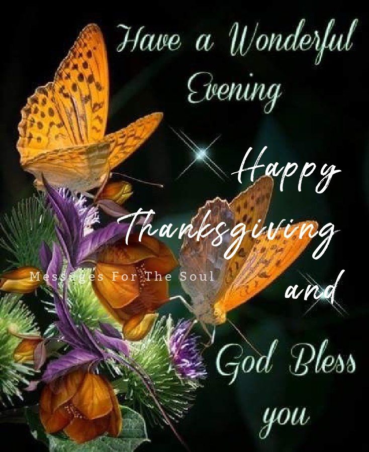 Wonderful Evening & Happy Thanksgiving Pictures, Photos, and Images for ...