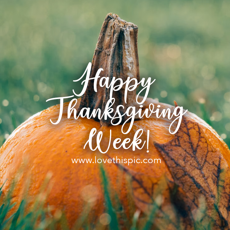 Pumpkin Happy Thanksgiving Week Quote Pictures, Photos, and Images for ...