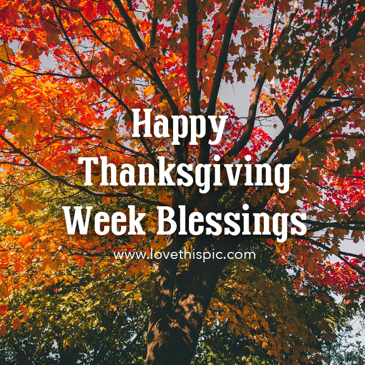 Colorful Trees - Happy Thanksgiving Week Blessings Pictures, Photos ...