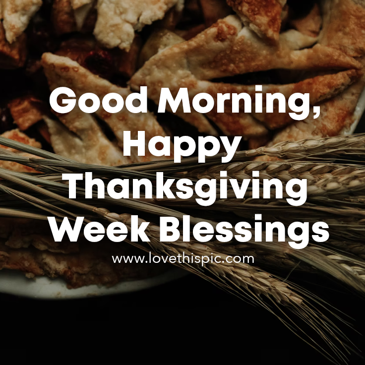 Good Morning Happy Thanksgiving Week Pictures, Photos, and Images for ...
