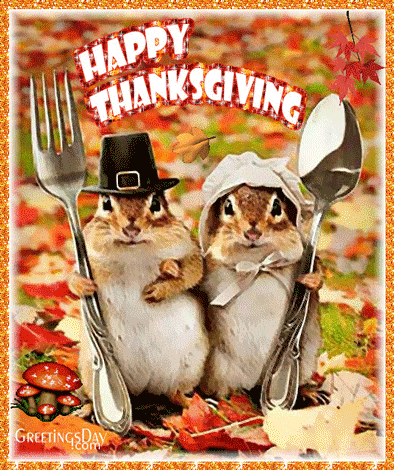 Squirrel Happy Thanksgiving Gif Pictures, Photos, and Images for ...