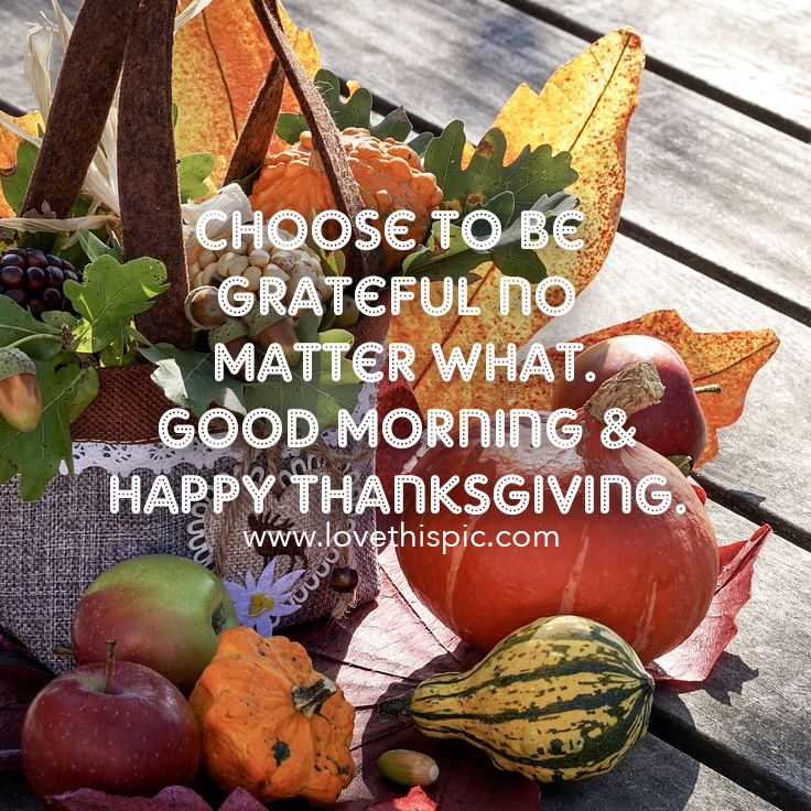 Choose To Be Grateful No Matter What. Good Morning & Happy Thanksgiving ...