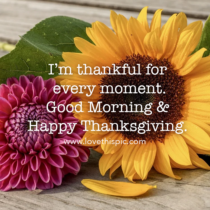 I’m Thankful For Every Moment. Good Morning & Happy Thanksgiving ...