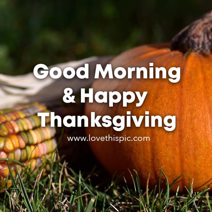 Corn & Pumpkin - Good Morning & Happy Thanksgiving Pictures, Photos ...