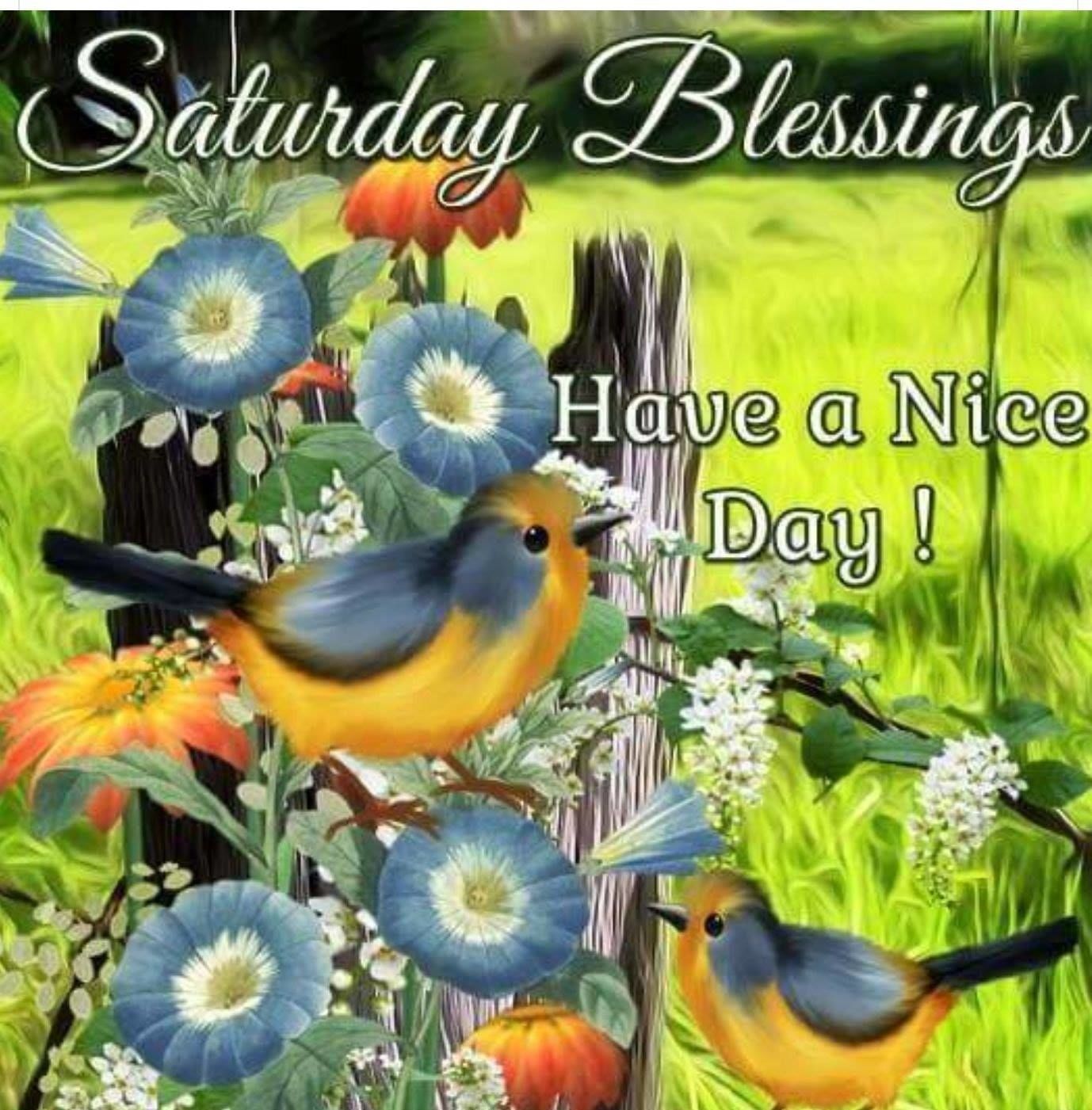Bird And Flower Saturday Blessings Pictures, Photos, and Images for ...