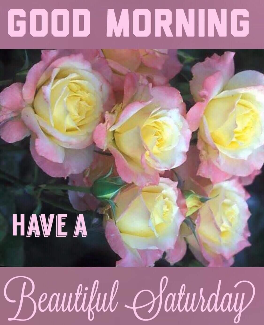 Good Morning Beautiful Saturday Pictures, Photos, and Images for ...