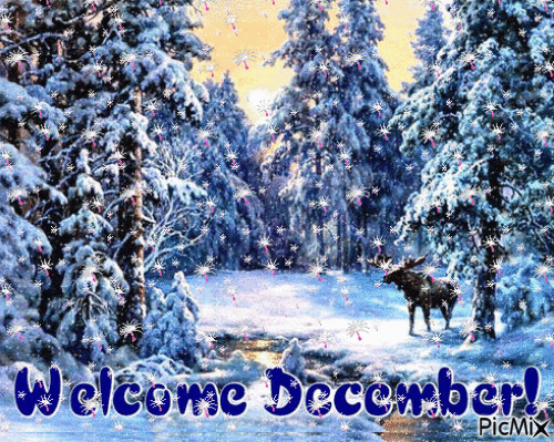 Winter Forest Welcome December Gif Pictures, Photos, and Images for ...