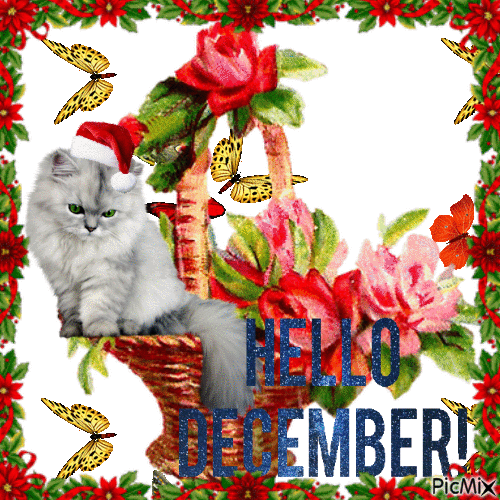 Cat In Floral Basket - Hello December Gif Pictures, Photos, and Images ...