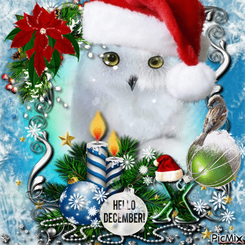 Santa Owl - Hello December Gif Pictures, Photos, and Images for ...