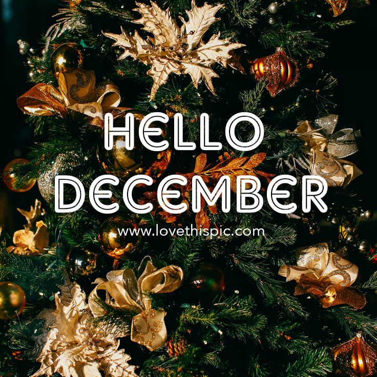 Decorated Christmas Tree - Hello December Pictures, Photos, and Images ...