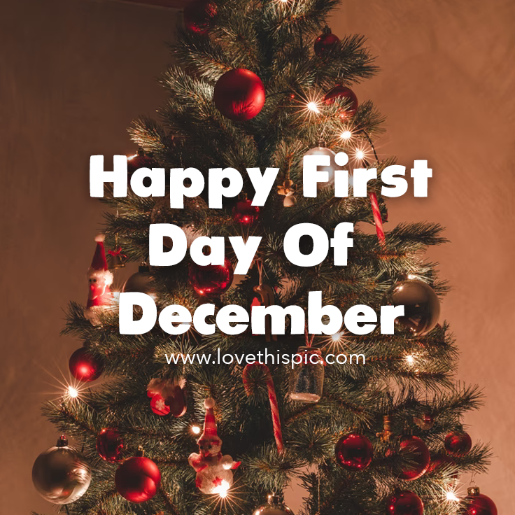 Decorated Christmas Tree - Happy First Day Of December Pictures, Photos ...