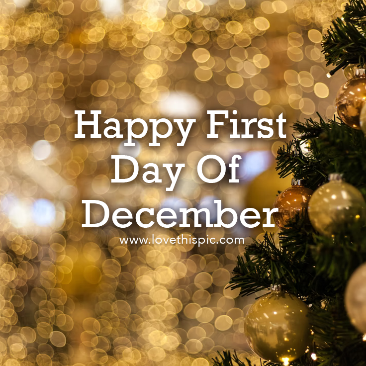 Gold Decor & Christmas Tree - Happy First Day Of December Pictures ...