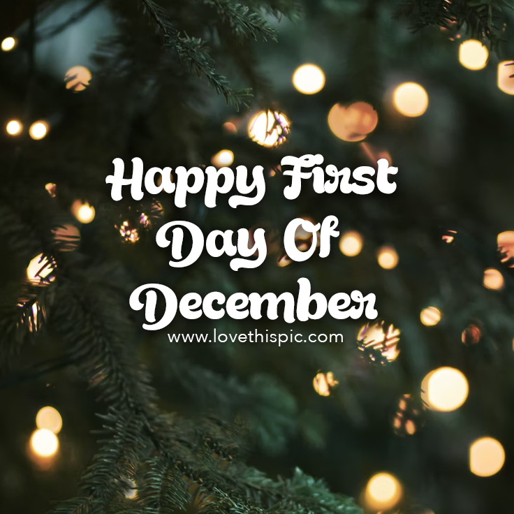 String Light With Christmas Tree - Happy First Day Of December Pictures ...