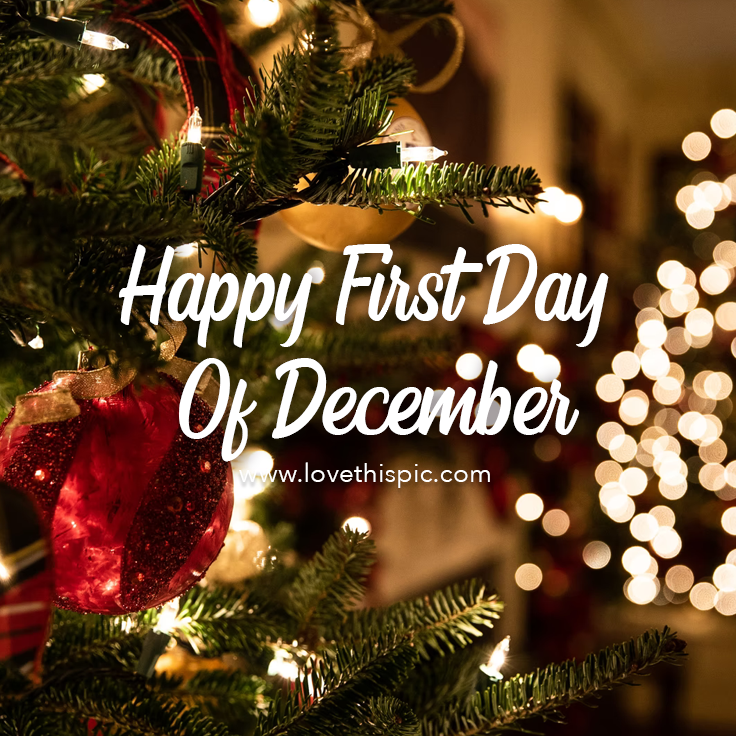 Lit Christmas Tree - Happy First Day Of December Pictures, Photos, and ...