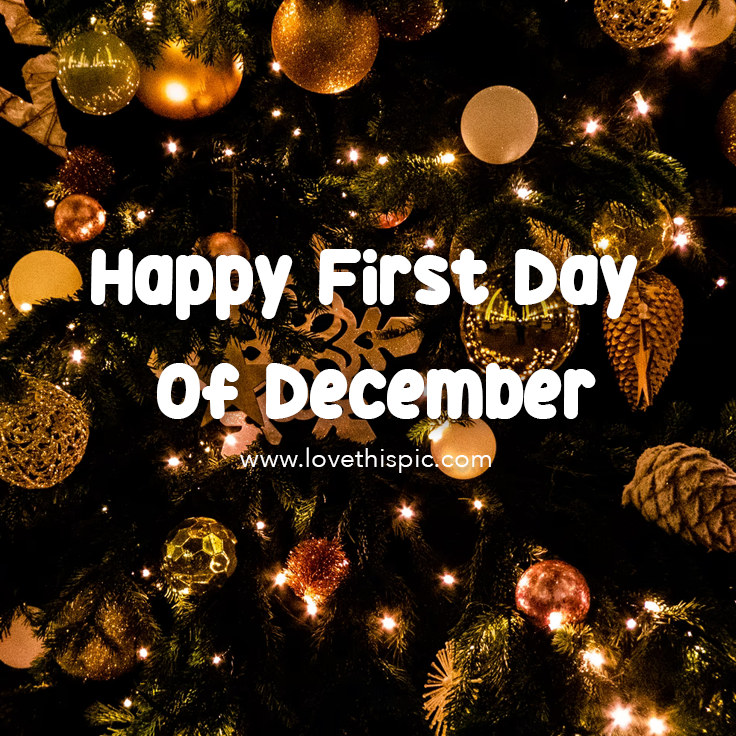 Beautiful Gold Ornaments On Tree - Happy First Day Of December Pictures ...