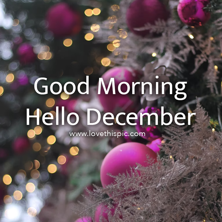 Magenta Baubles - Good Morning Hello December Pictures, Photos, and ...