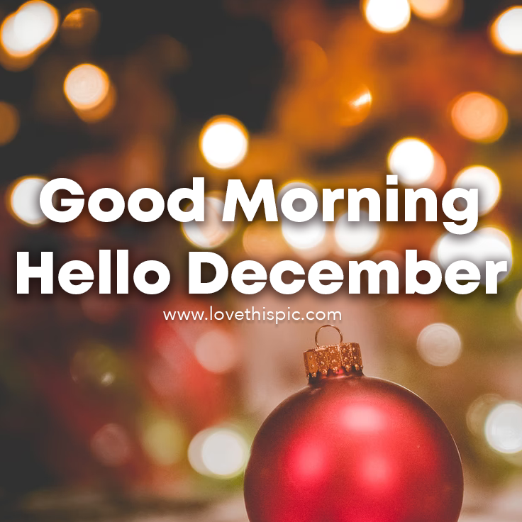 Bokeh Light & Ornament - Good Morning Hello December Pictures, Photos ...