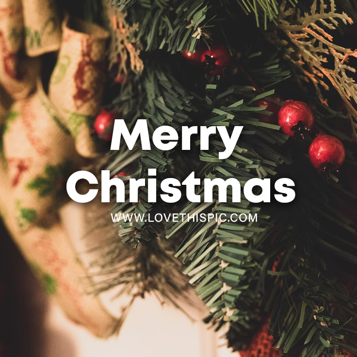 Mistletoe Merry Christmas Quote Pictures, Photos, and Images for ...