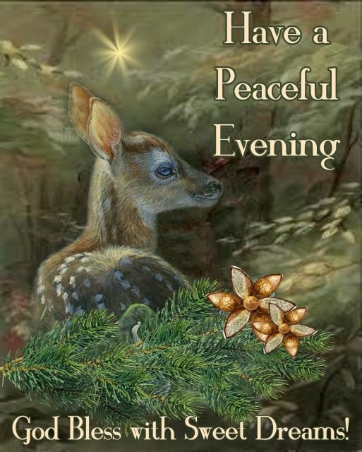 Have A Peaceful Evening Pictures, Photos, and Images for Facebook ...
