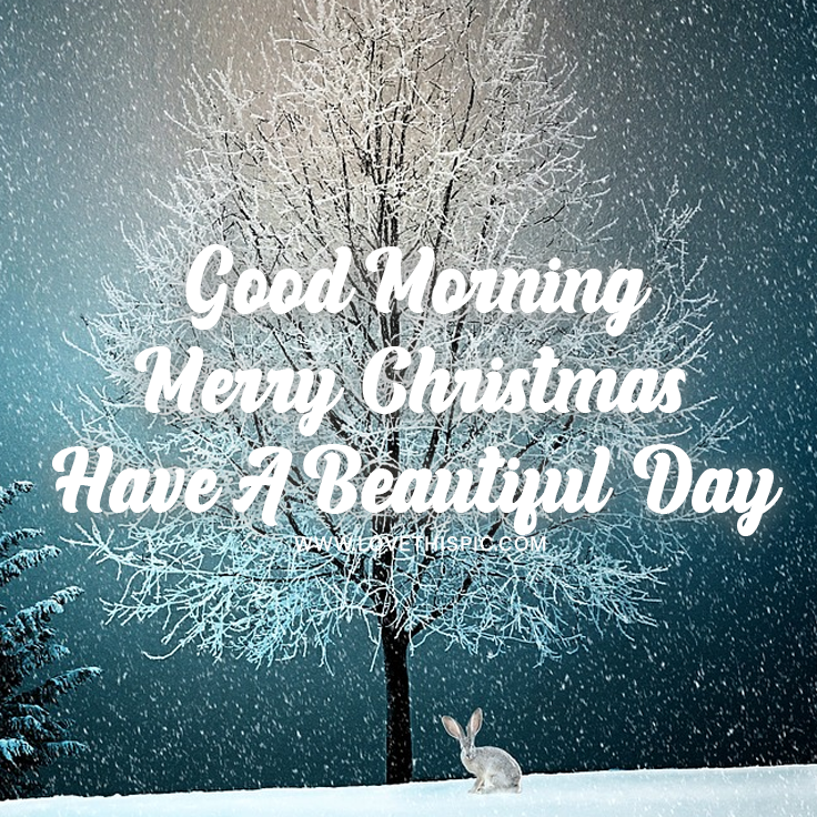 Good Morning, Merry Christmas. Have A Beautiful Day Pictures, Photos ...