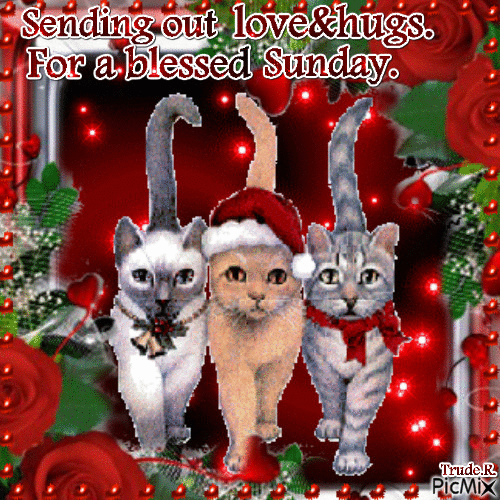 Sending Out Love & Hugs. For A Blessed Sunday Pictures, Photos, and ...