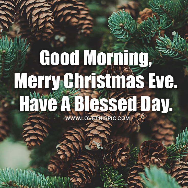 Pinecone - Good Morning, Merry Christmas Eve. Have A Blessed Day ...