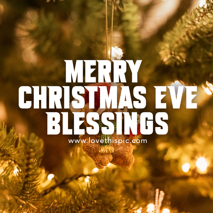Christmas Tree Bear - Merry Christmas Eve Blessings Pictures, Photos ...