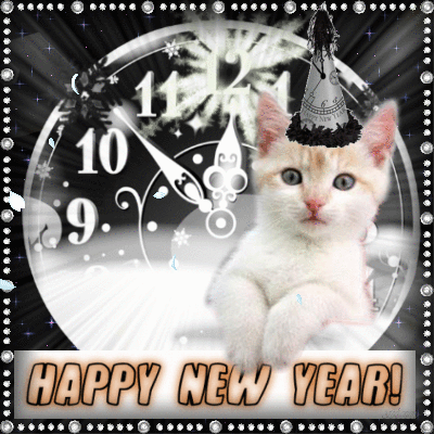White Cat & Countdown To A Happy New Year Pictures, Photos, and Images ...